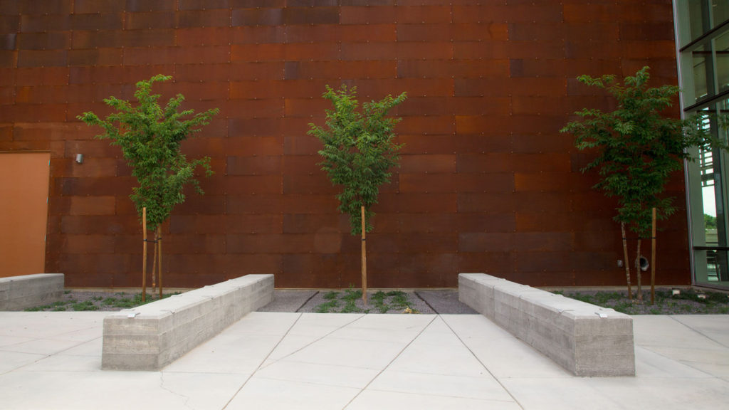 The Value of Landscape Architecture in Early Design Stages